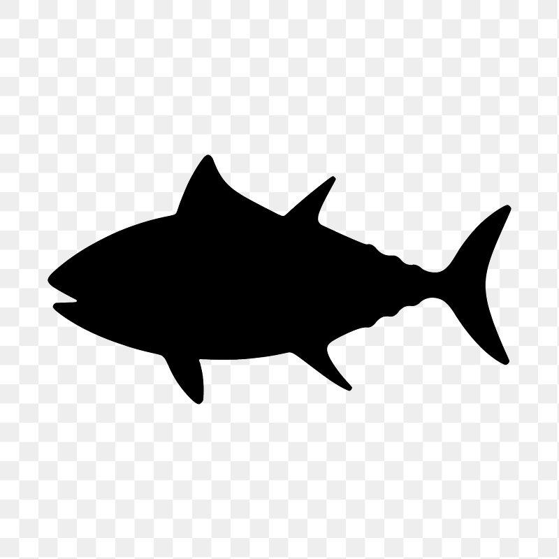 Fish Outline Images | Free Photos, PNG Stickers, Wallpapers ...