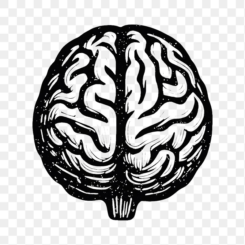 Brain+graphics Isolated Images | Free Photos, PNG Stickers, Wallpapers ...