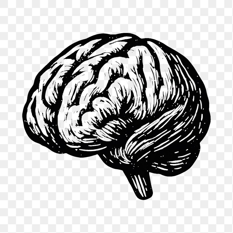 Medical Line Art Shadow Images | Free Photos, PNG Stickers, Wallpapers ...