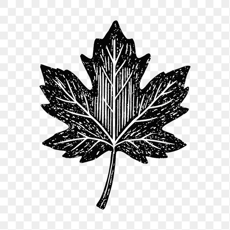 Maple+leafe+shape PNG Images | Free Photos, PNG Stickers, Wallpapers ...