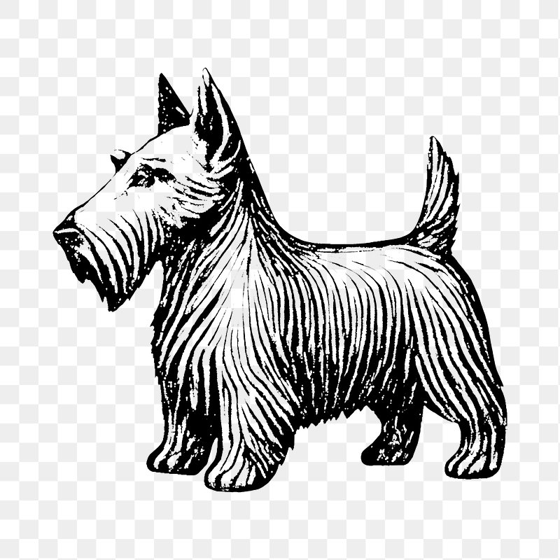 Transparent Gold PNG Shadow Images | Free Photos, PNG Stickers ...