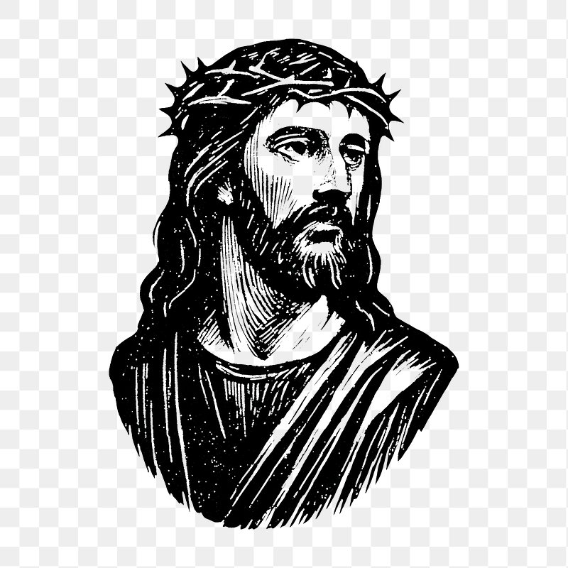 Crown Transparent Images | Free Photos, PNG Stickers, Wallpapers ...