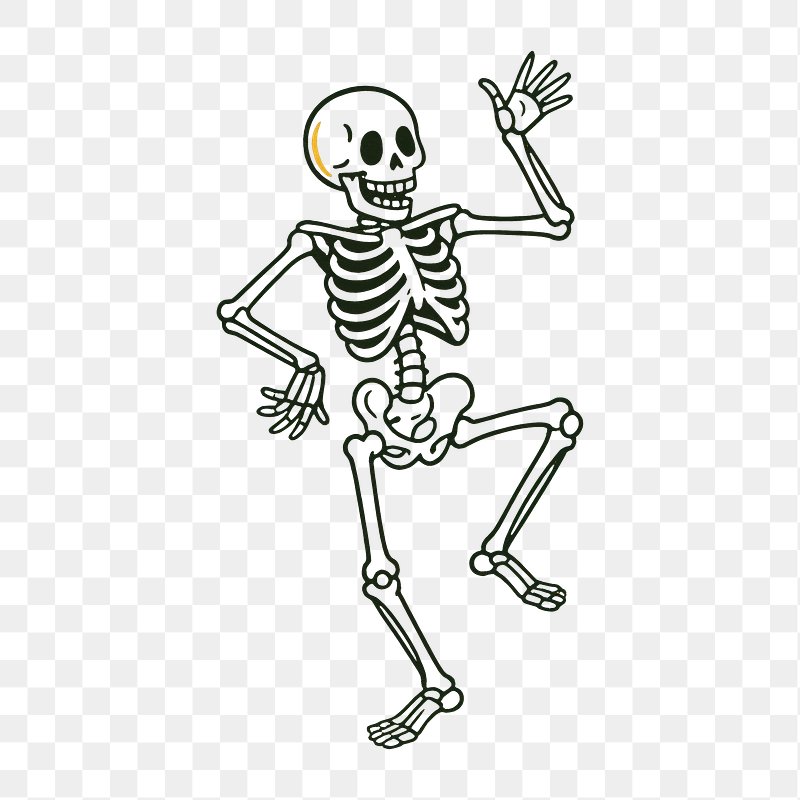 Halloween+decor+skeleton PNG Images | Free Photos, PNG Stickers ...