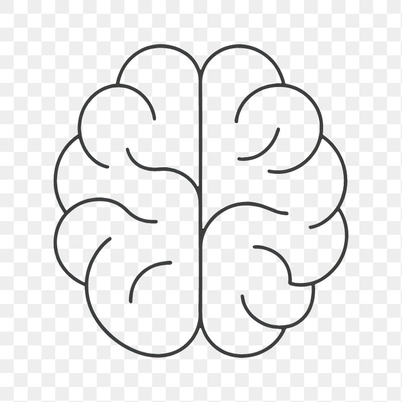 Brain+outline+drawing Background Images | Free Photos, PNG Stickers ...