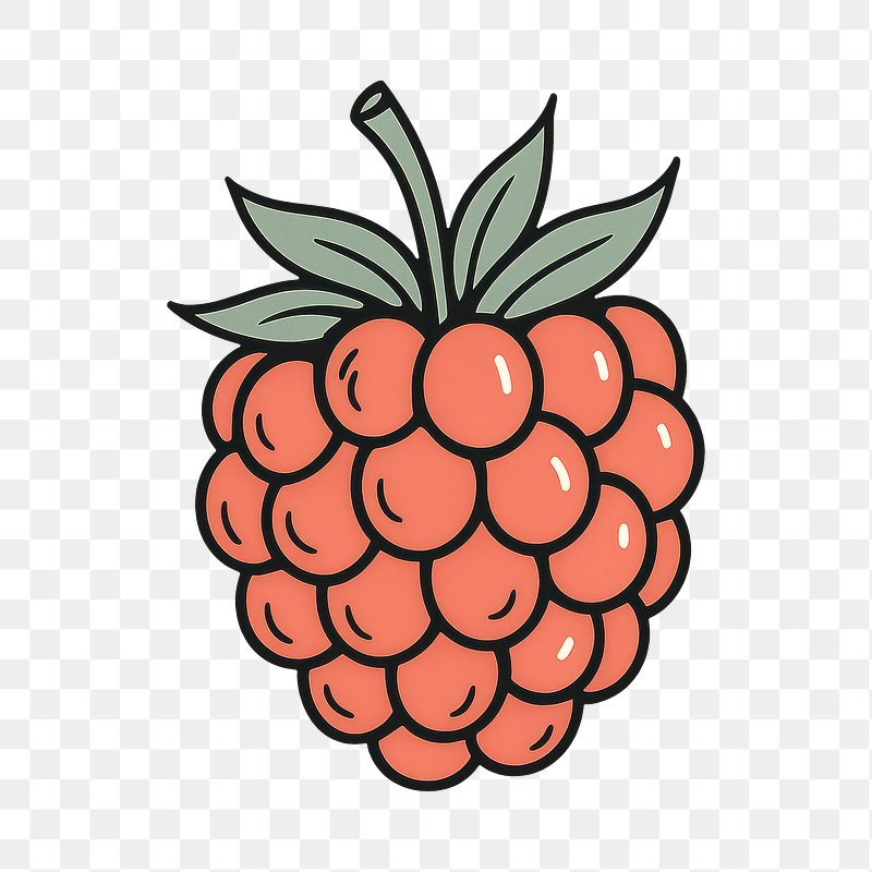 Raspberry PNG Images | Free Photos, PNG Stickers, Wallpapers ...