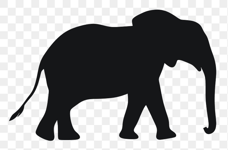 Elephant Outline Images | Free Photos, PNG Stickers, Wallpapers ...