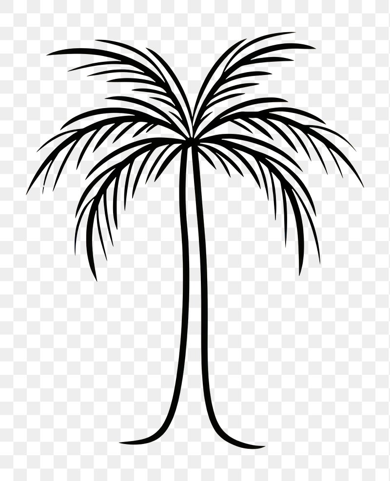 PNG Palm tree illustration drawing | Free PNG - rawpixel