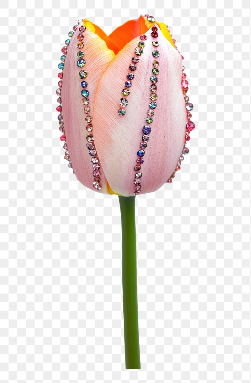 Rhinestone PNG Images | Free Photos, PNG Stickers, Wallpapers ...