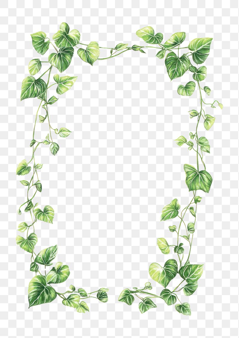 Vines PNG Images | Free Photos, PNG Stickers, Wallpapers & Backgrounds ...