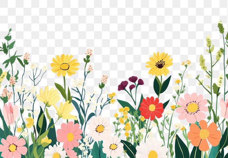 Aesthetic Border Designs Images | Free Photos, PNG Stickers, Wallpapers ...