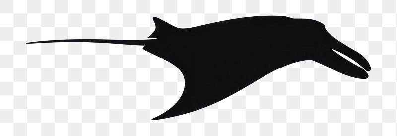 Ray PNG Images | Free Photos, PNG Stickers, Wallpapers & Backgrounds ...