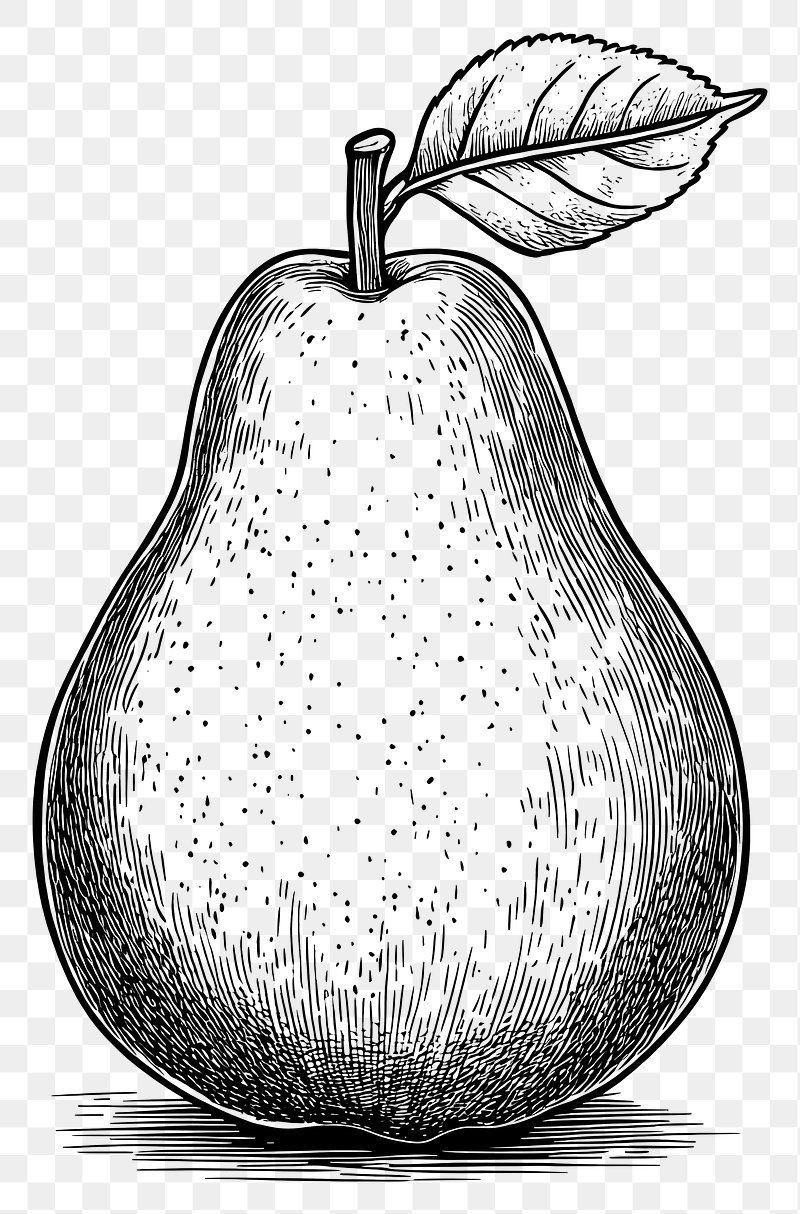 Black And White Fruit PNG Transparent Images | Free Photos, PNG ...