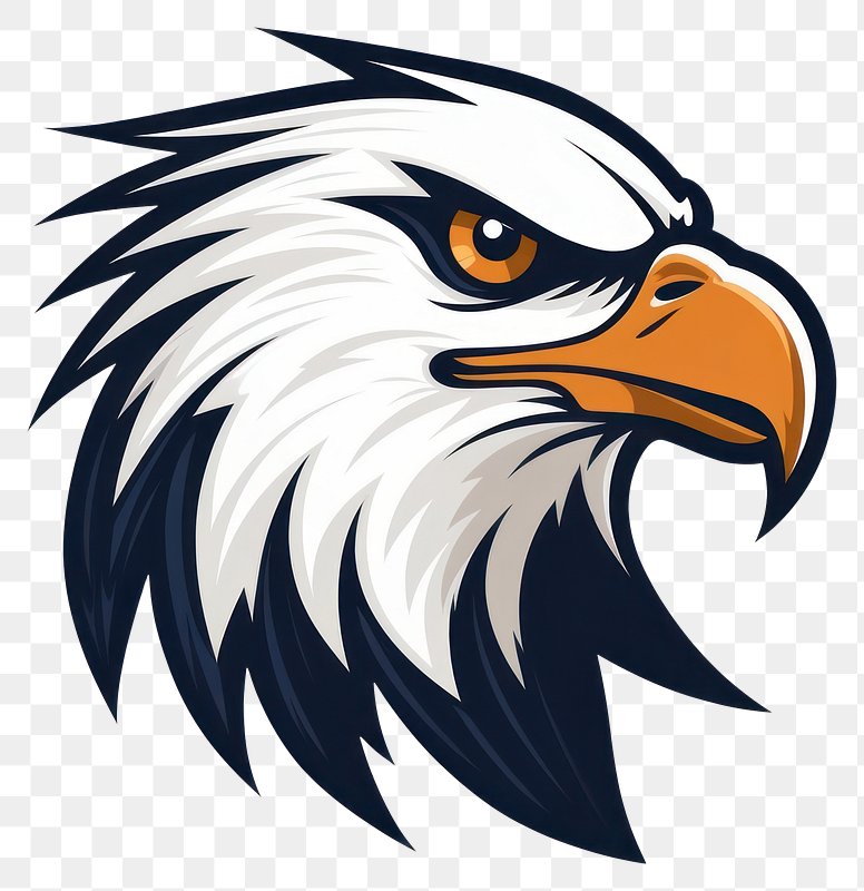 Falcon PNG Images | Free Photos, PNG Stickers, Wallpapers & Backgrounds ...