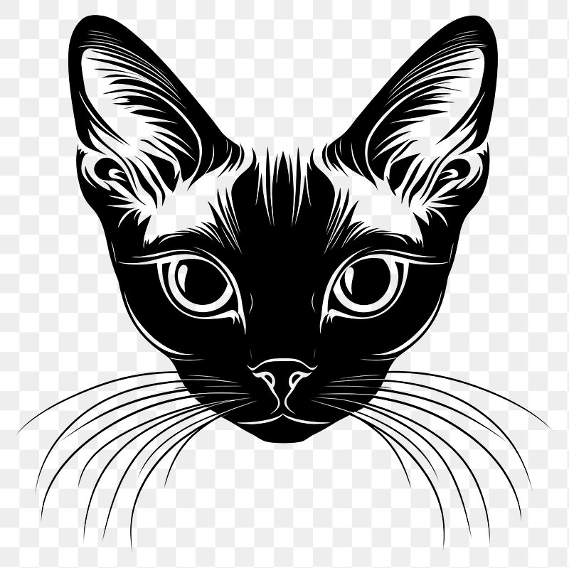 PNG Chubby Abyssinian cat head | Free PNG - rawpixel