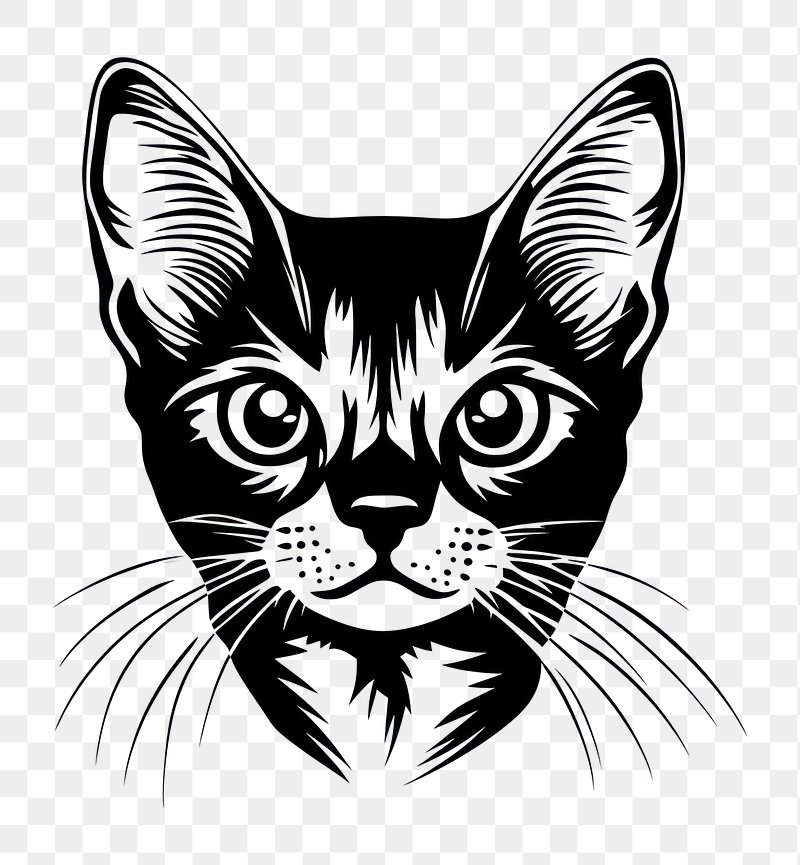 PNG Chubby Abyssinian cat head | Free PNG - rawpixel