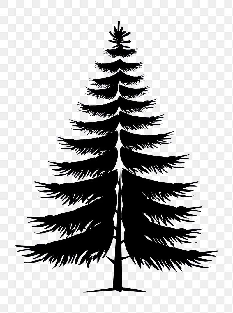Spruce tree silhouette black art | Free Photo Illustration - rawpixel