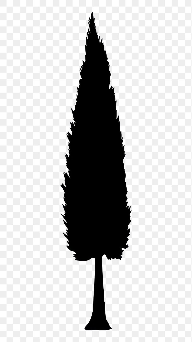 PNG Cypress tree silhouette illustration | Free PNG - rawpixel