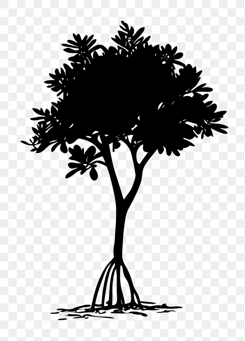 Mangrove Tree Images | Free Photos, PNG Stickers, Wallpapers ...