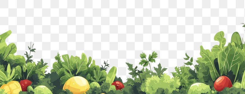 PNG Food Ingredient Border illustration | Free PNG - rawpixel
