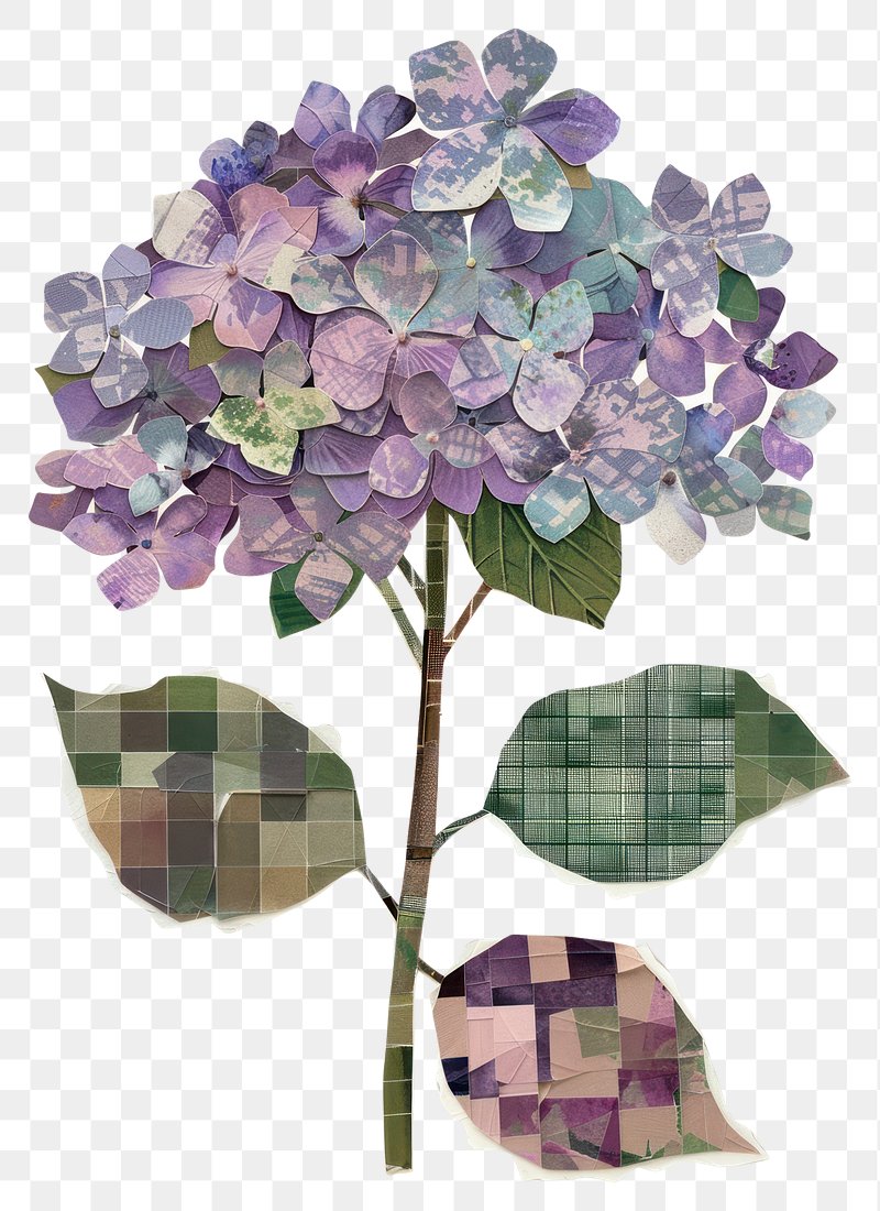 PNG Hydrangea collage paper cut | Free PNG - rawpixel