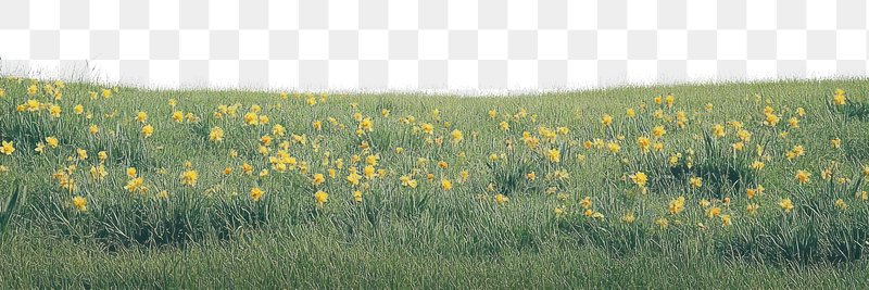 Desktop Wallpaper Images | Free 4K Backgrounds, Mobile & Desktop ...