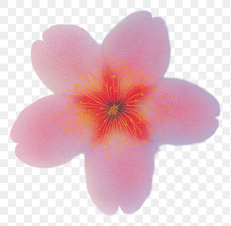 Transparent Pink Aesthetic Images | Free Photos, PNG Stickers ...