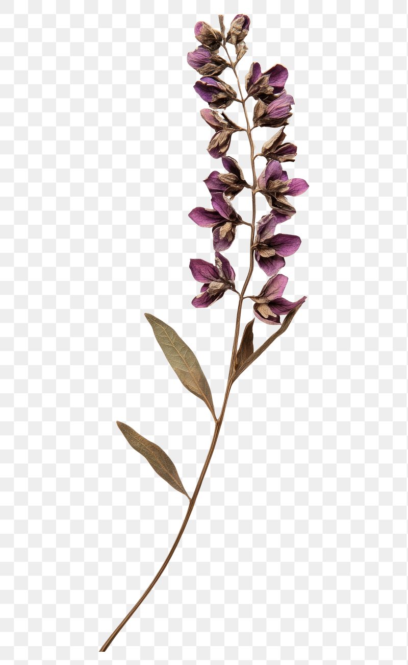 Static Texture Images | Free Photos, PNG Stickers, Wallpapers ...