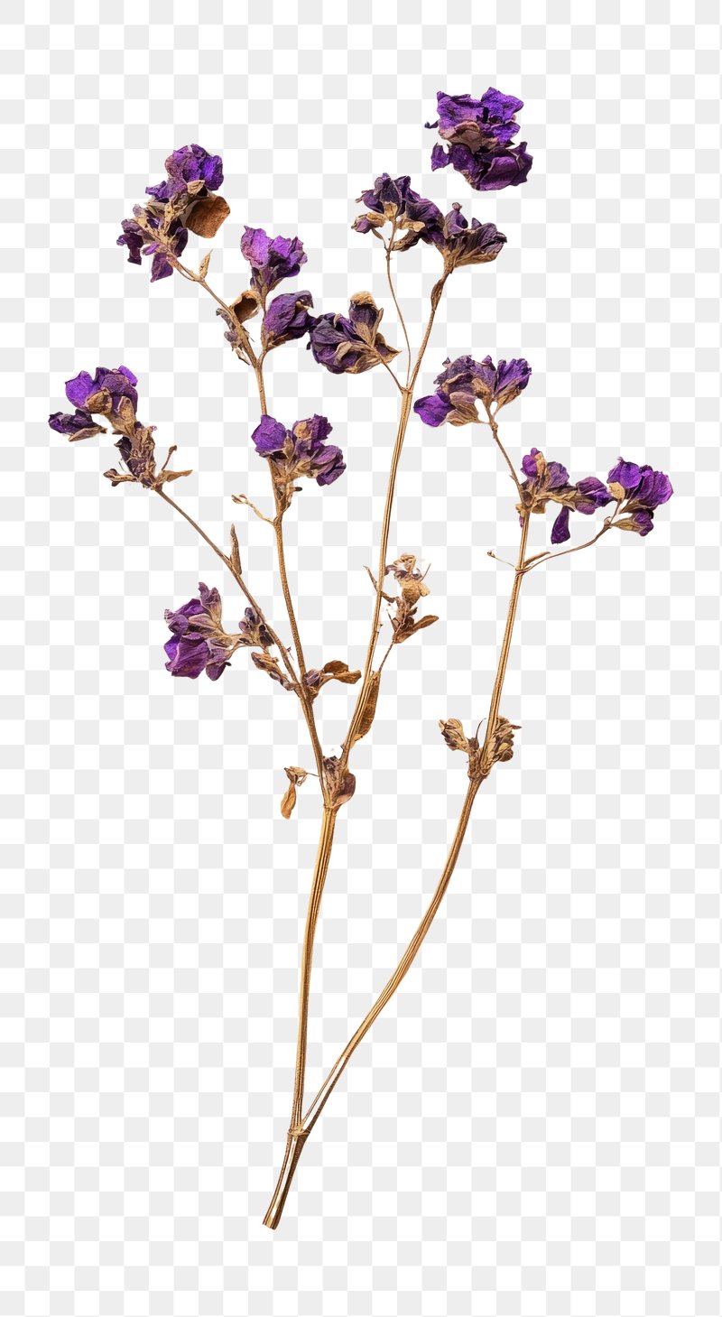 Static Texture Images | Free Photos, PNG Stickers, Wallpapers ...