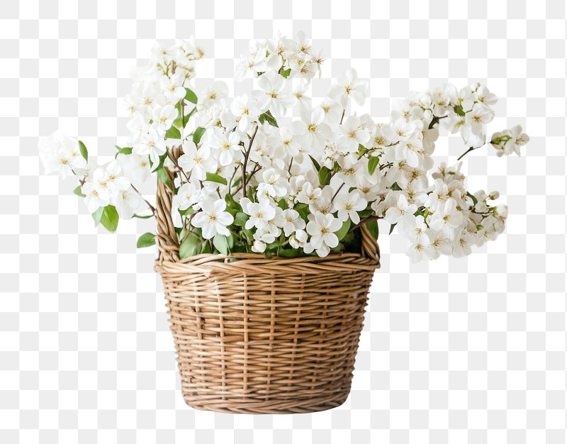 Wicker+flowers PNG Images | Free Photos, PNG Stickers, Wallpapers ...