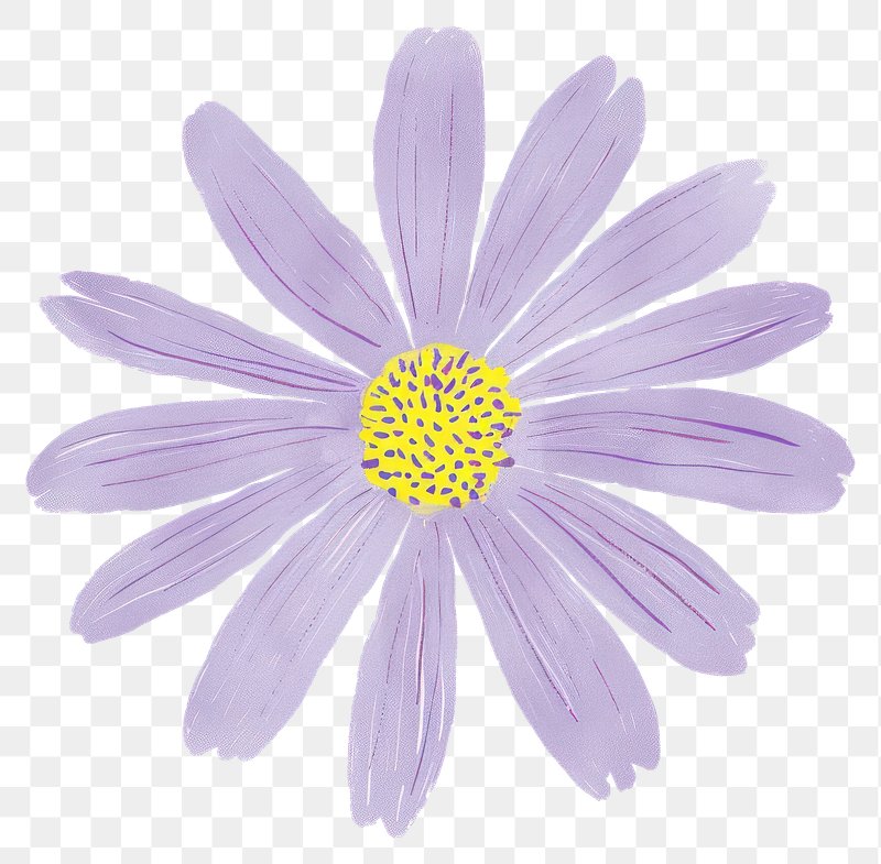 Cute+purple+top Plant Blossom Design Texture Images | Free Photos, PNG ...