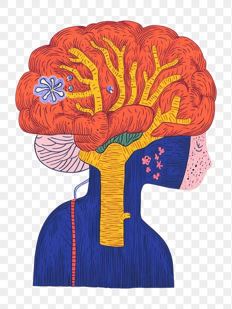 Brain Drawing Images | Free Photos, PNG Stickers, Wallpapers ...
