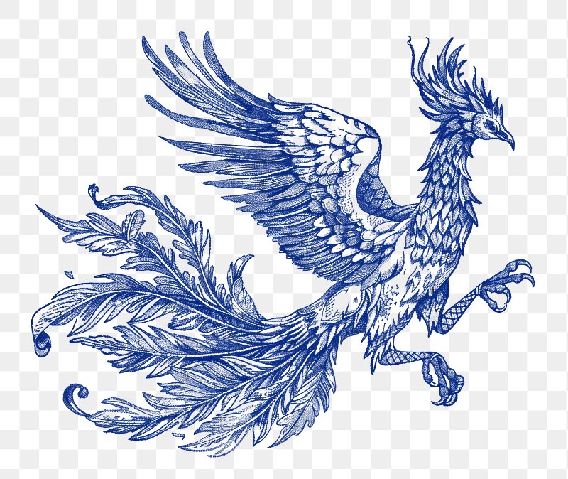 Phoenix PNG Images | Free Photos, PNG Stickers, Wallpapers ...