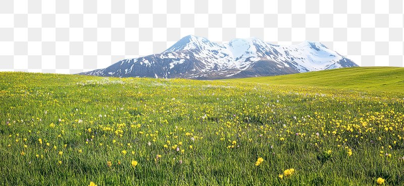 Beautiful Landscapes PNG Images | Free Photos, PNG Stickers, Wallpapers ...