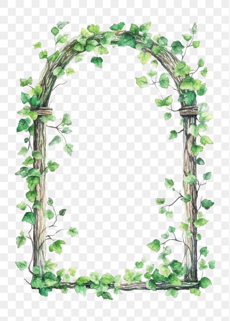 Ivy Transparent Images | Free Photos, PNG Stickers, Wallpapers ...