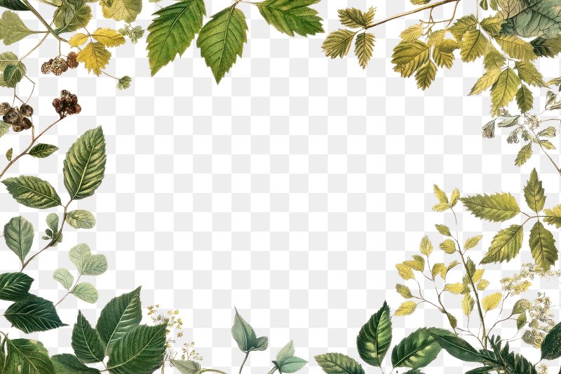 Landscape Frame PNG Images | Free Photos, PNG Stickers, Wallpapers ...