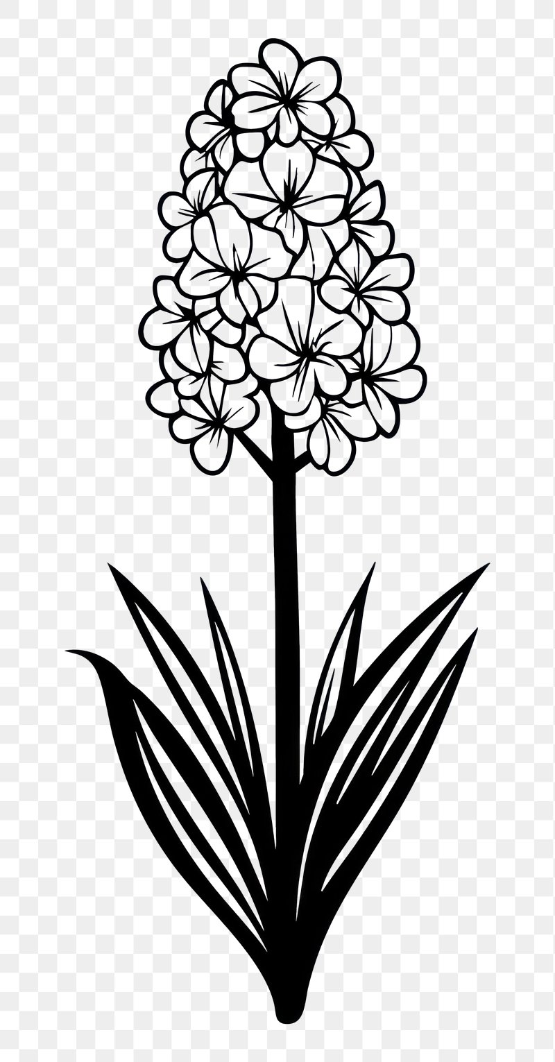 Floral Outline Transparent Images | Free Photos, PNG Stickers ...