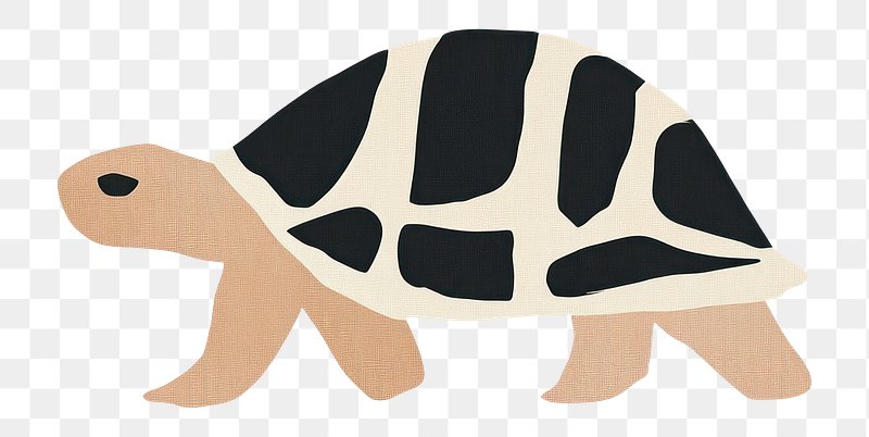 Tortoise PNG Images | Free Photos, PNG Stickers, Wallpapers ...