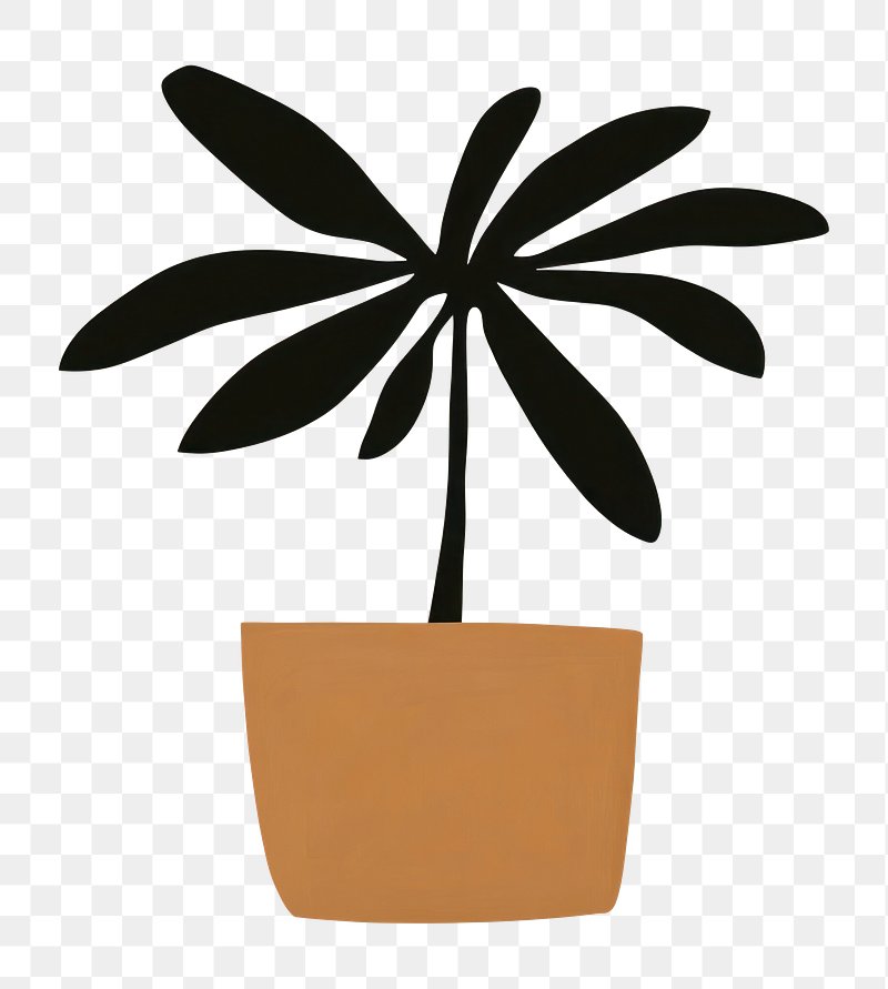 Palm Fan PNG Images | Free Photos, PNG Stickers, Wallpapers ...