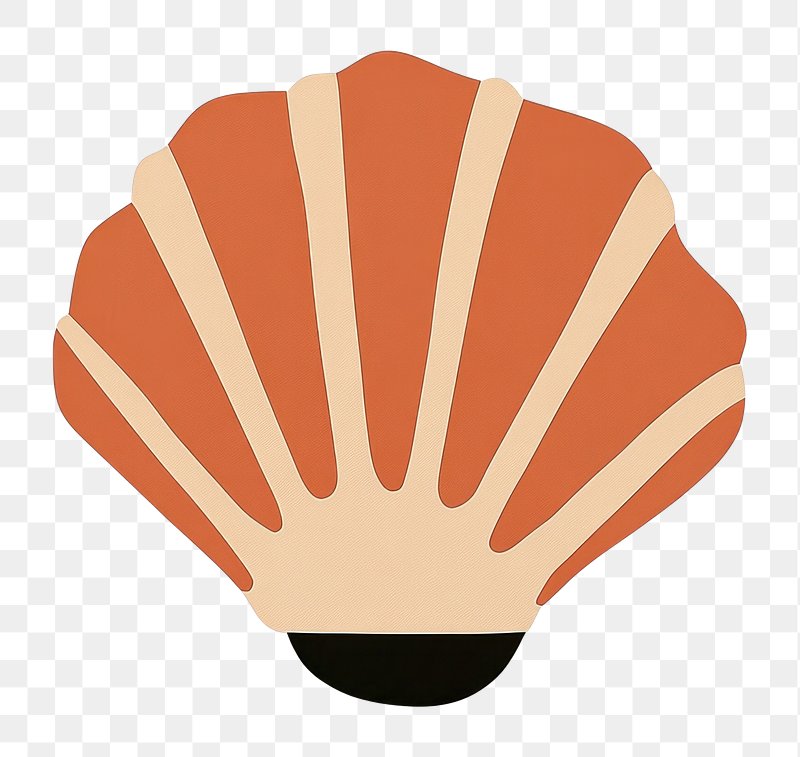 Shell PNG Images | Free Photos, PNG Stickers, Wallpapers & Backgrounds ...
