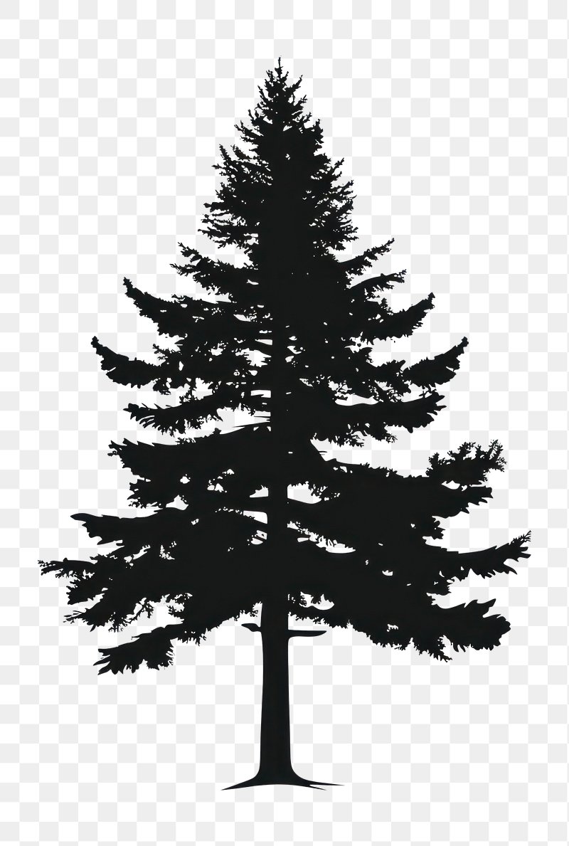 Cedar Tree Images | Free Photos, PNG Stickers, Wallpapers & Backgrounds ...