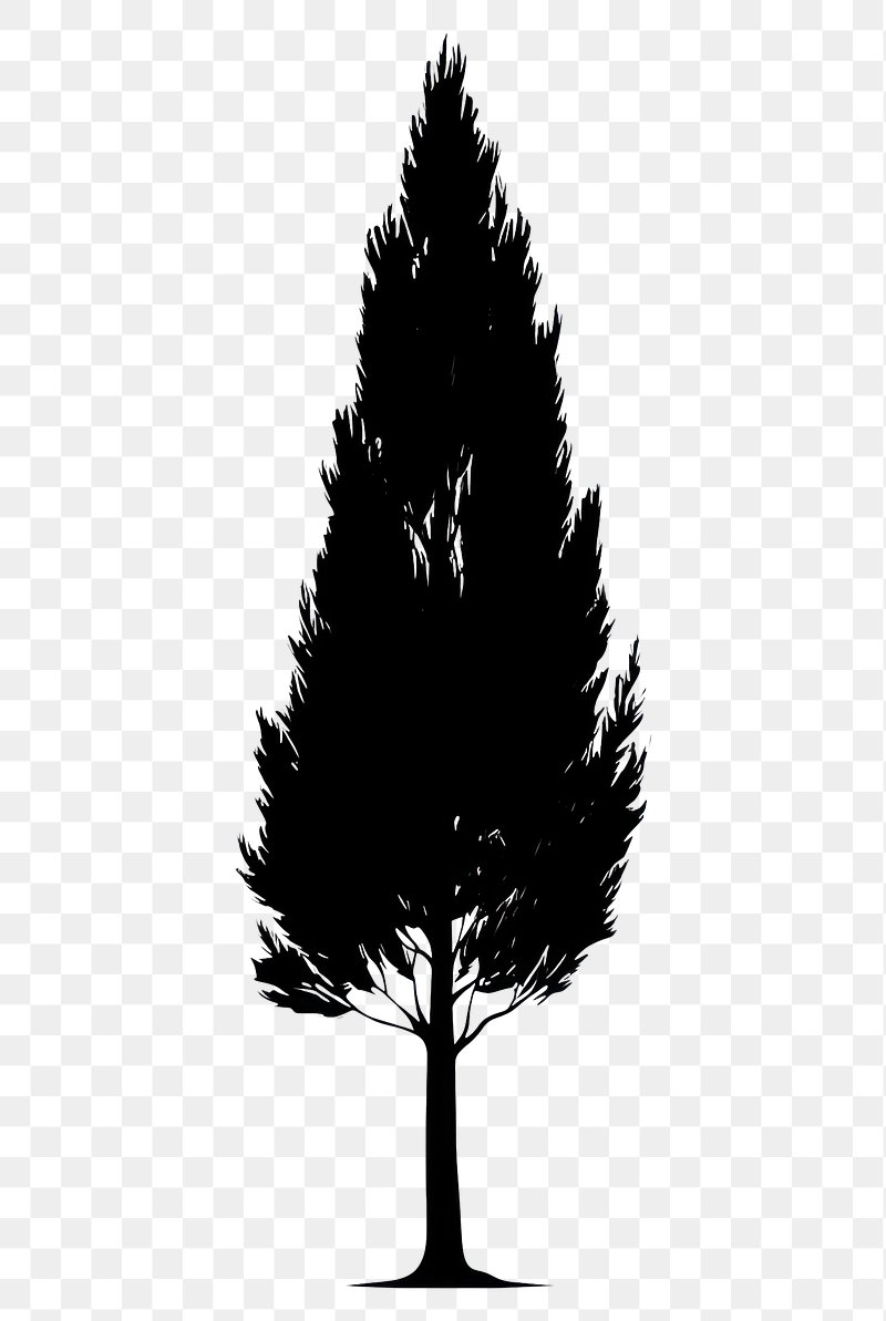 PNG Cypress tree silhouette illustration | Free PNG - rawpixel
