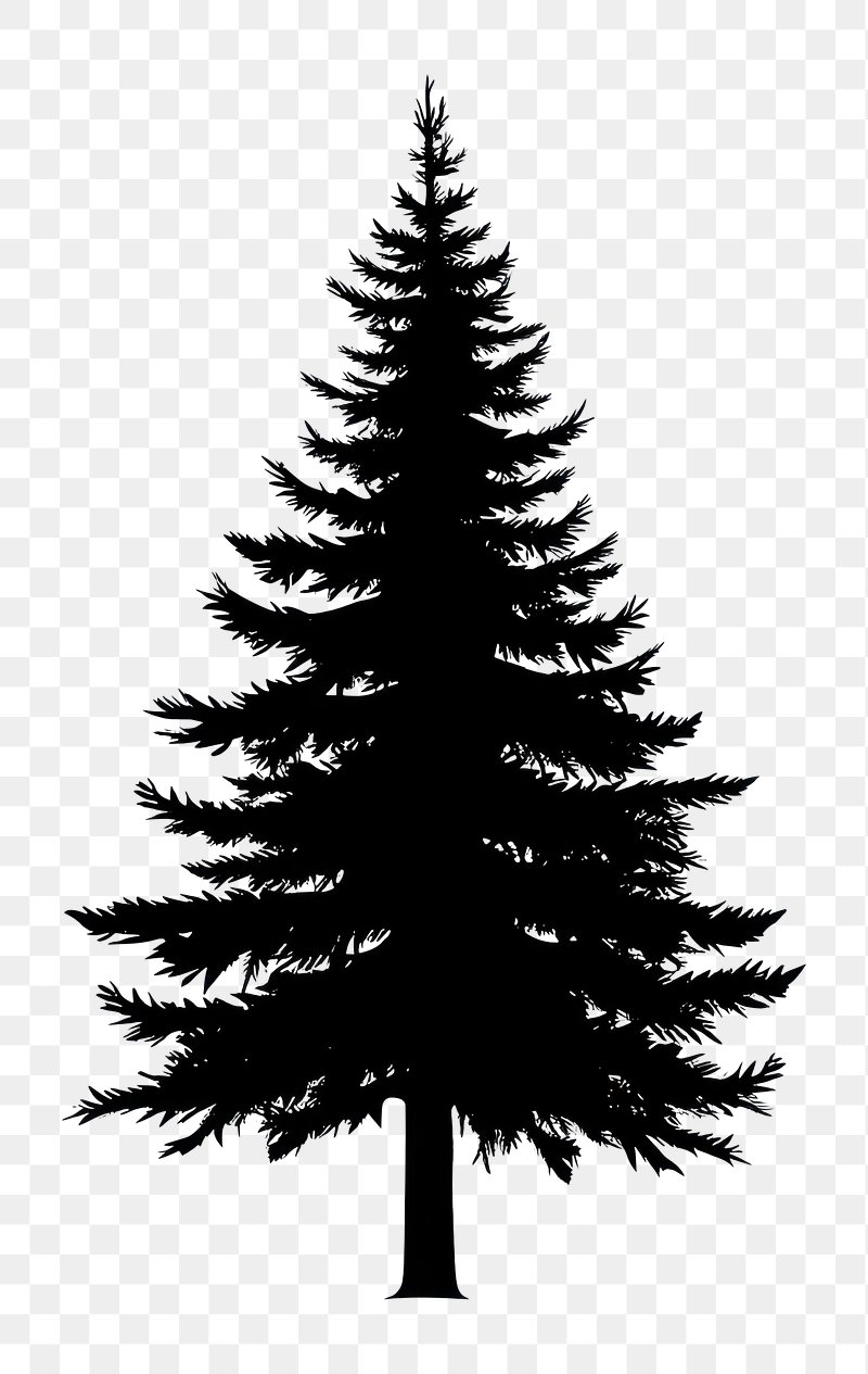 PNG Sugar pine tree silhouette | Free PNG - rawpixel