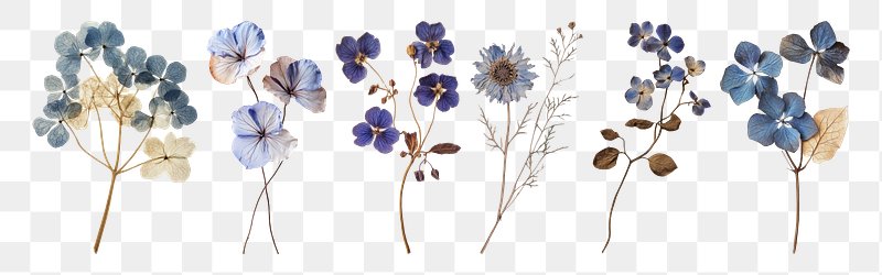 Background PNG Images | Free Photos, PNG Stickers, Wallpapers ...