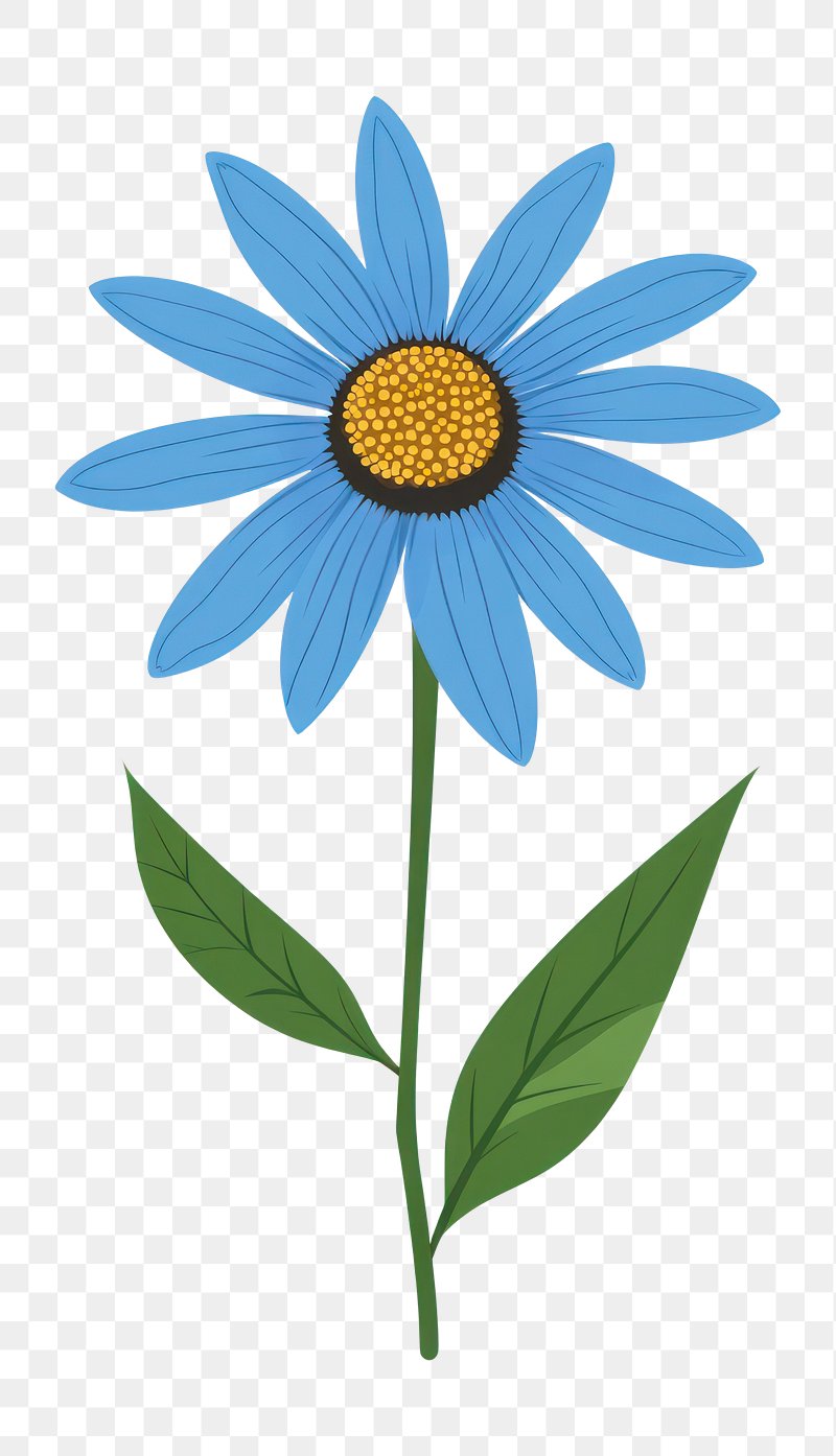 Flower Drawing Transparent Images | Free Photos, PNG Stickers ...