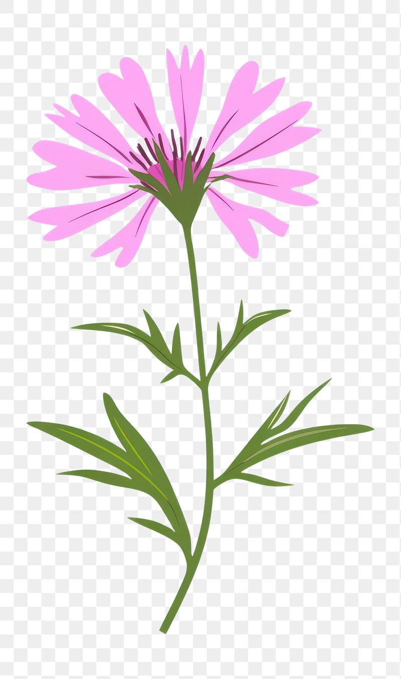 Drawing Transparent Background Images | Free Photos, PNG Stickers ...