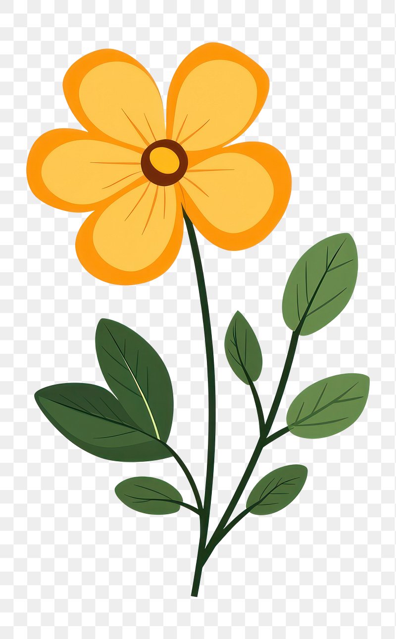 PNG Yarrow wildflower clip art | Free PNG - rawpixel