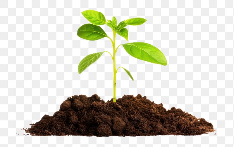 Development PNG Images | Free Photos, PNG Stickers, Wallpapers ...