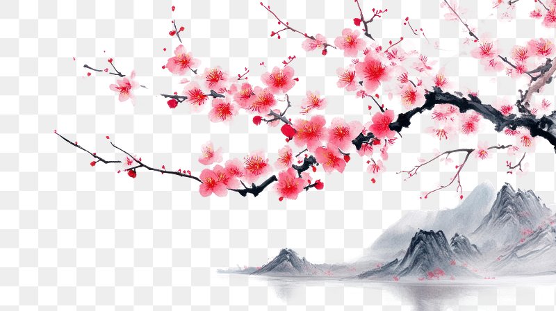 Aesthetic Transparent Images | Free Photos, PNG Stickers, Wallpapers ...