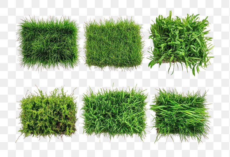 Grass Texture Images | Free Photos, PNG Stickers, Wallpapers ...