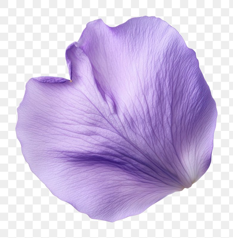 Purple Texture Images | Free Photos, PNG Stickers, Wallpapers ...